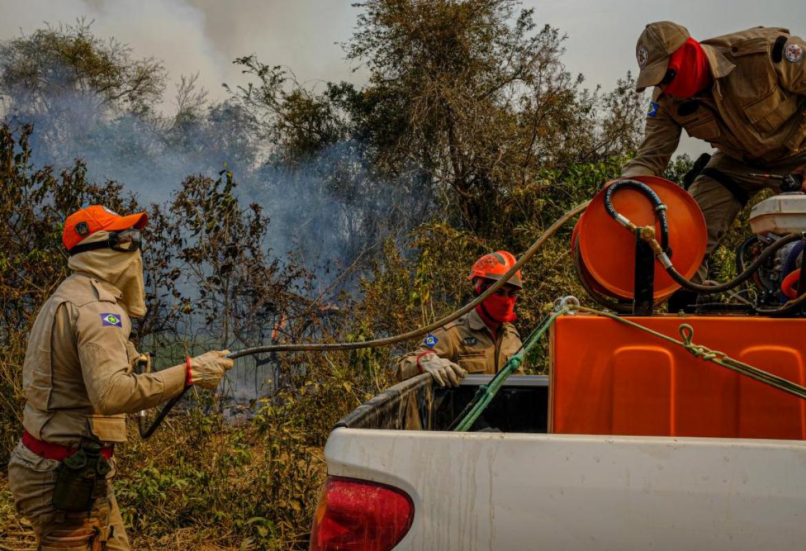 Proibição de queimadas controladas na zona rural de Mato Grosso começa ...